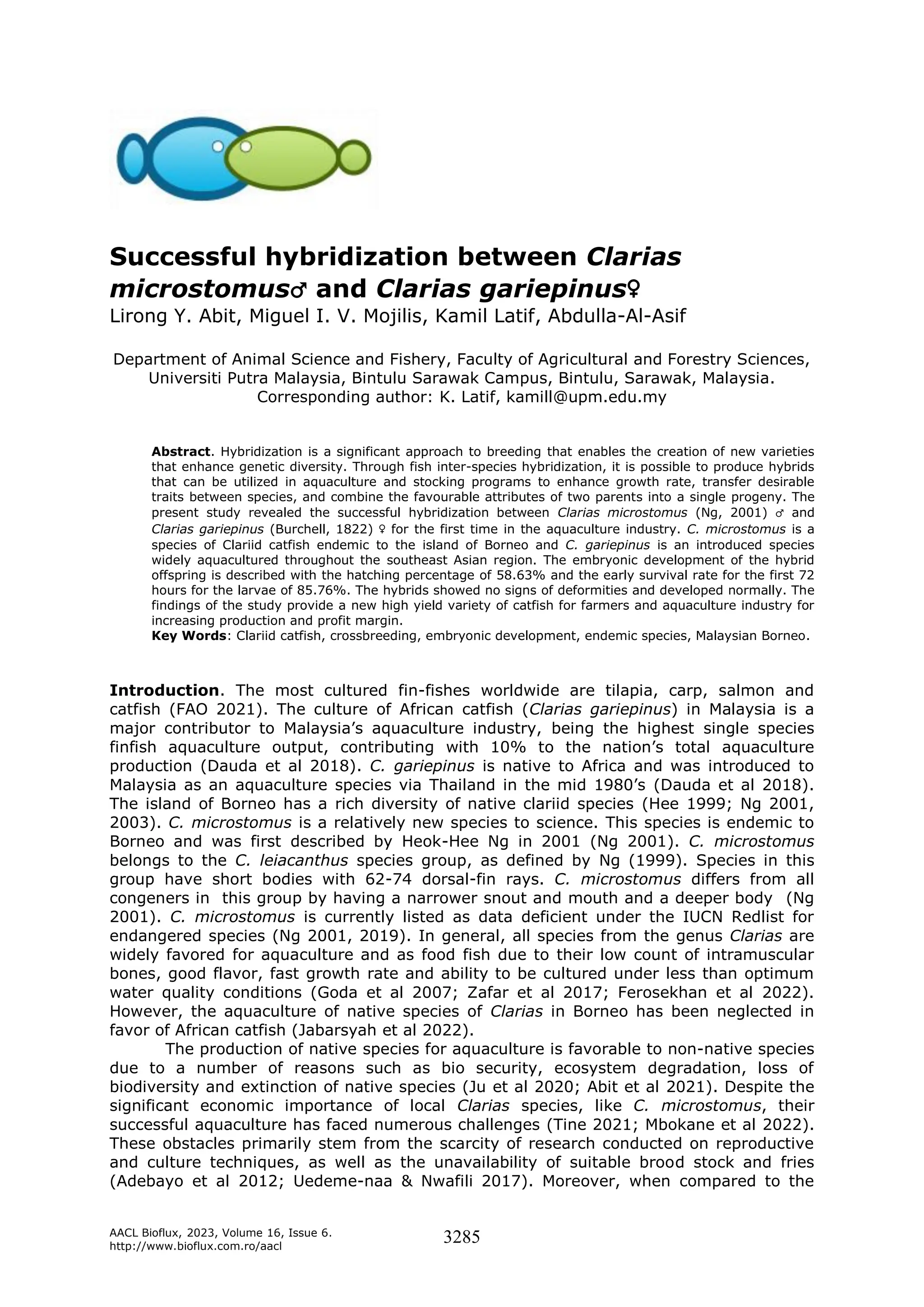 Successful hybridization between Clarias microstomus♂ and Clarias ...