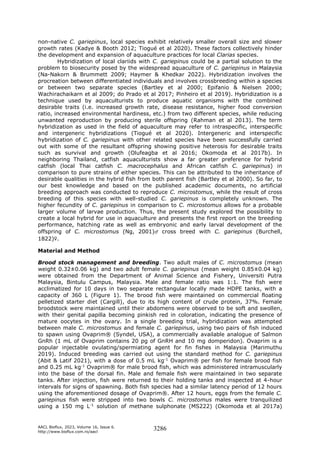 Successful hybridization between Clarias microstomus♂ and Clarias ...
