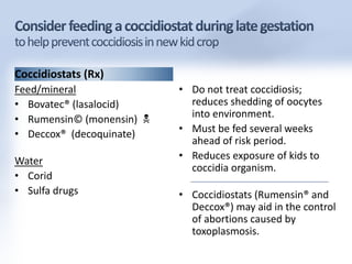 Successful kidding | PPT
