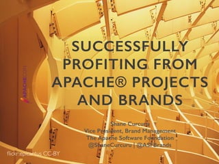 Successfully Profiting From Apache Brands | PPT