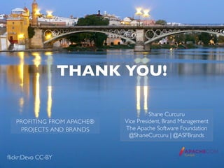 Successfully Profiting From Apache Brands | PPT