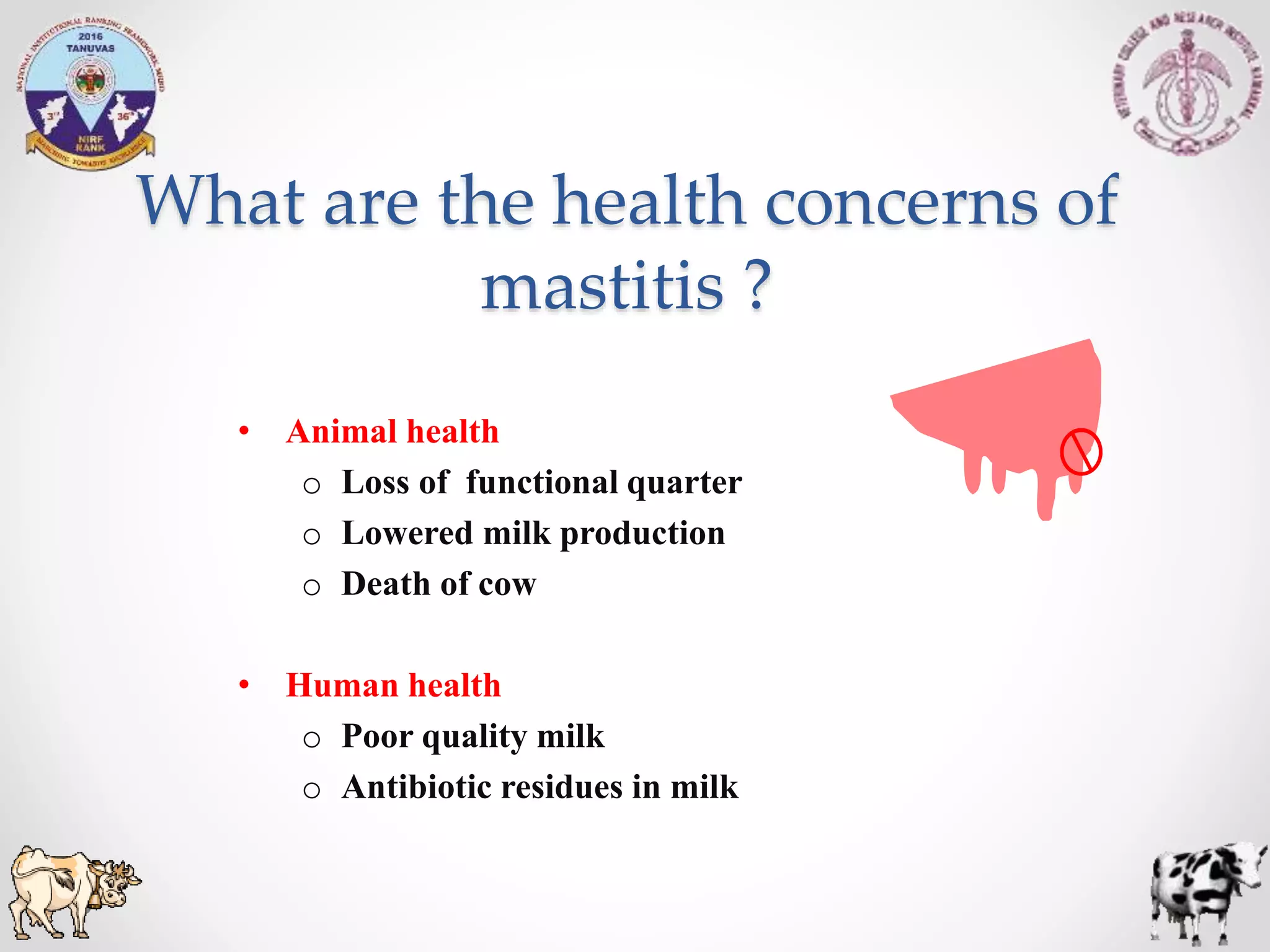 Successful management of delayed case of mastitis in cow | PPTX
