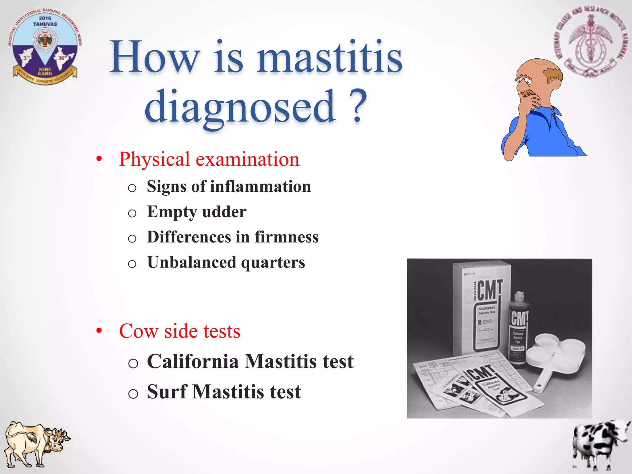 Successful management of delayed case of mastitis in cow | PPTX