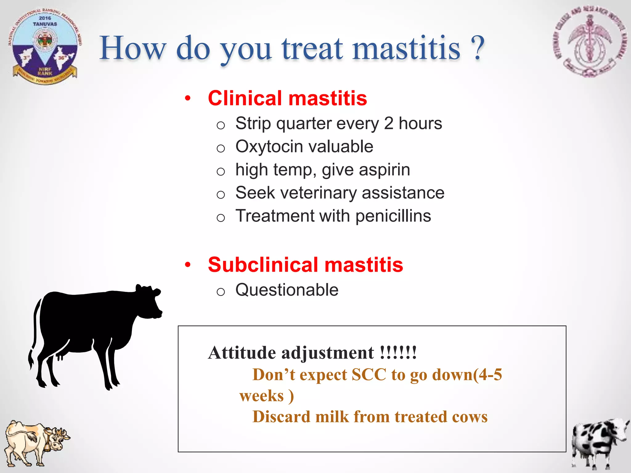 Successful management of delayed case of mastitis in cow | PPTX