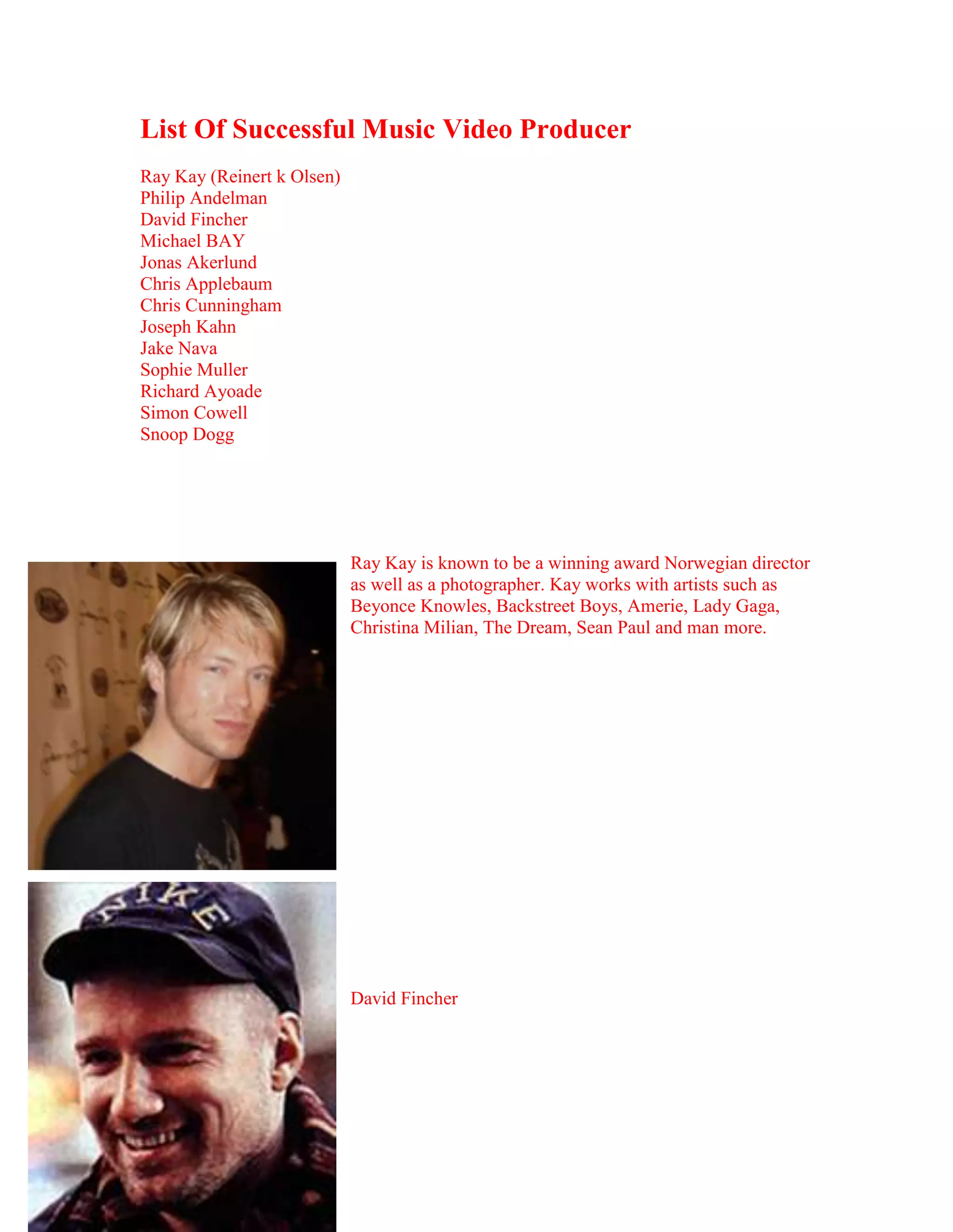 Successful music video producer | PDF