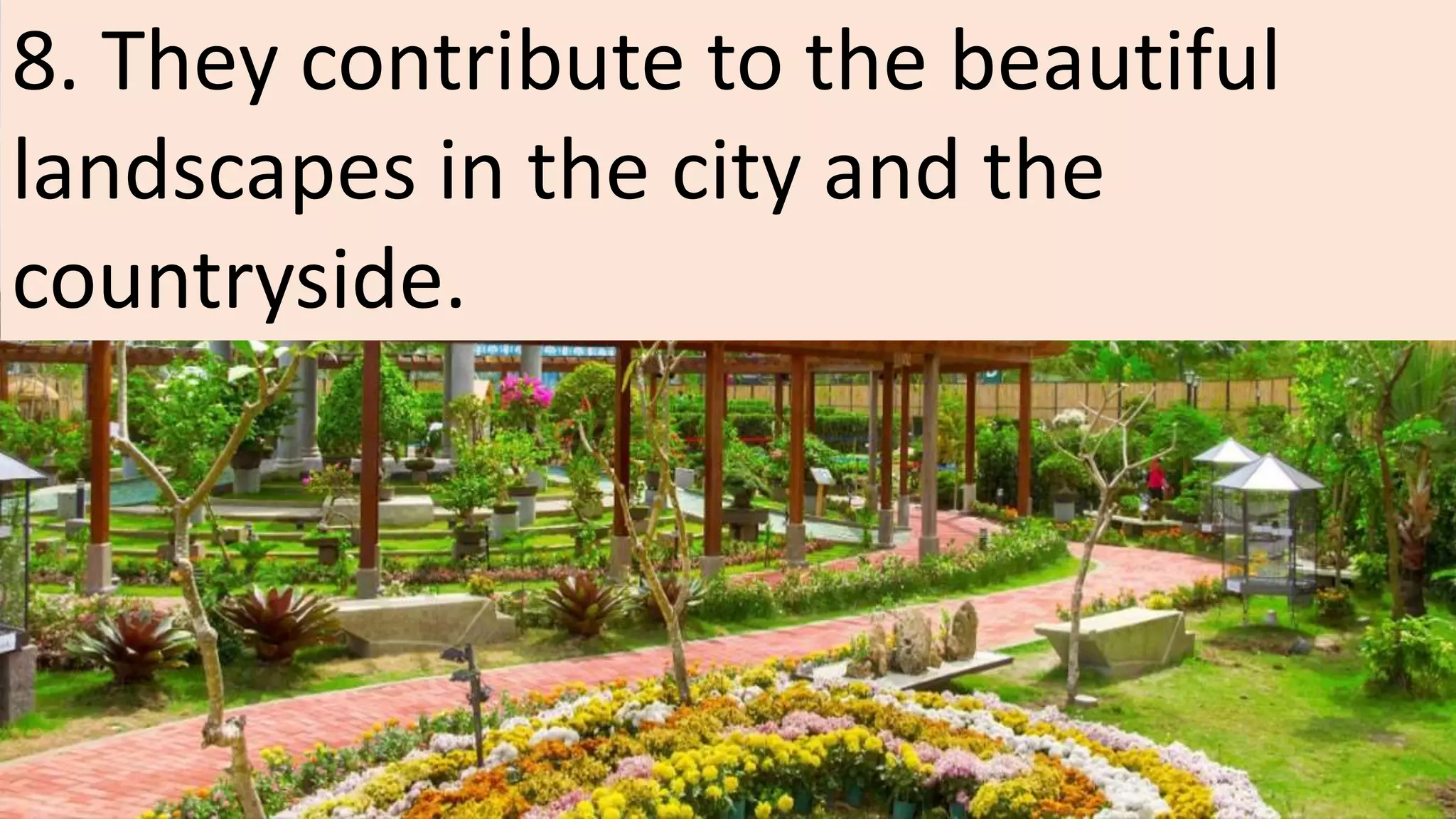 Successful Orchard Growers (1).pptx