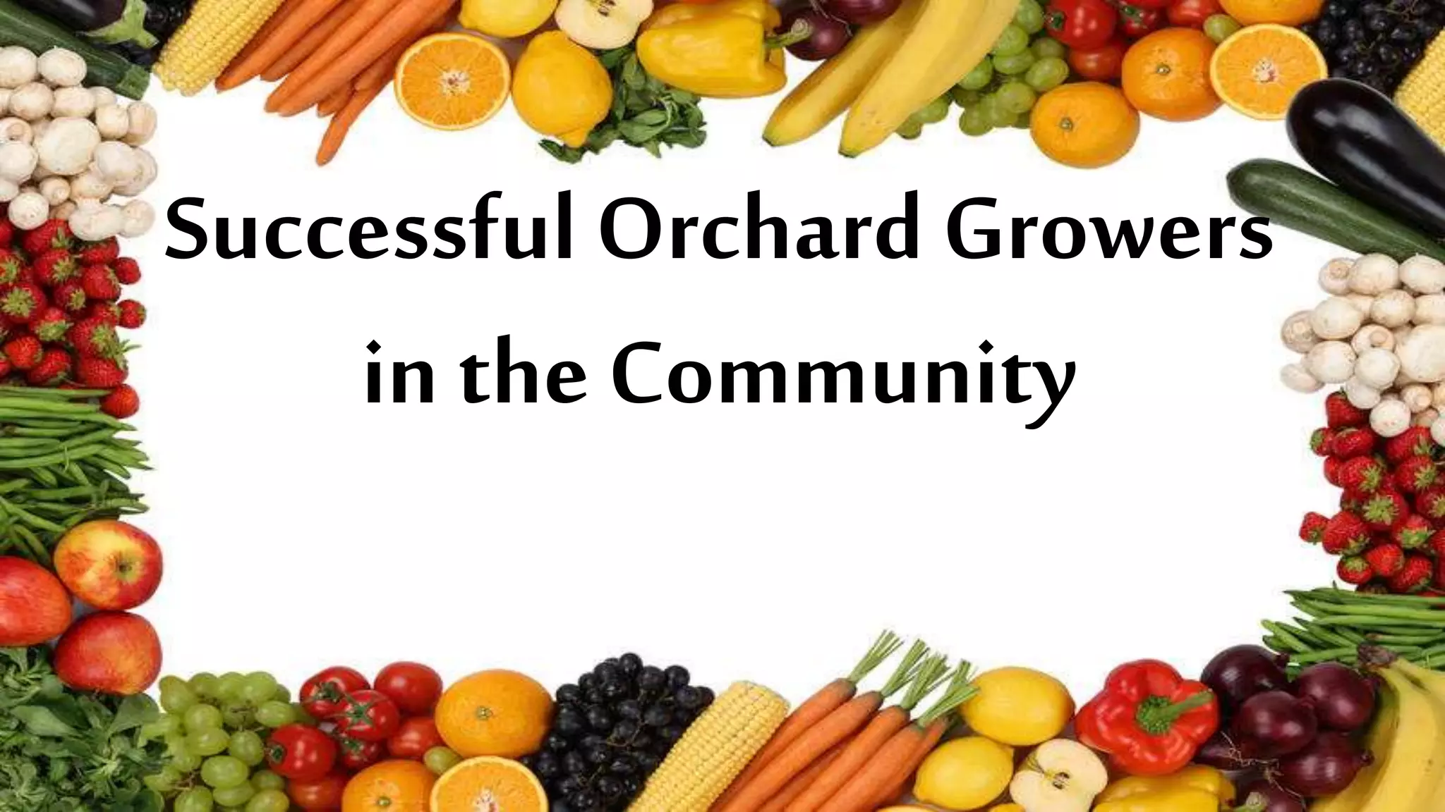 Successful Orchard Growers (1).pptx