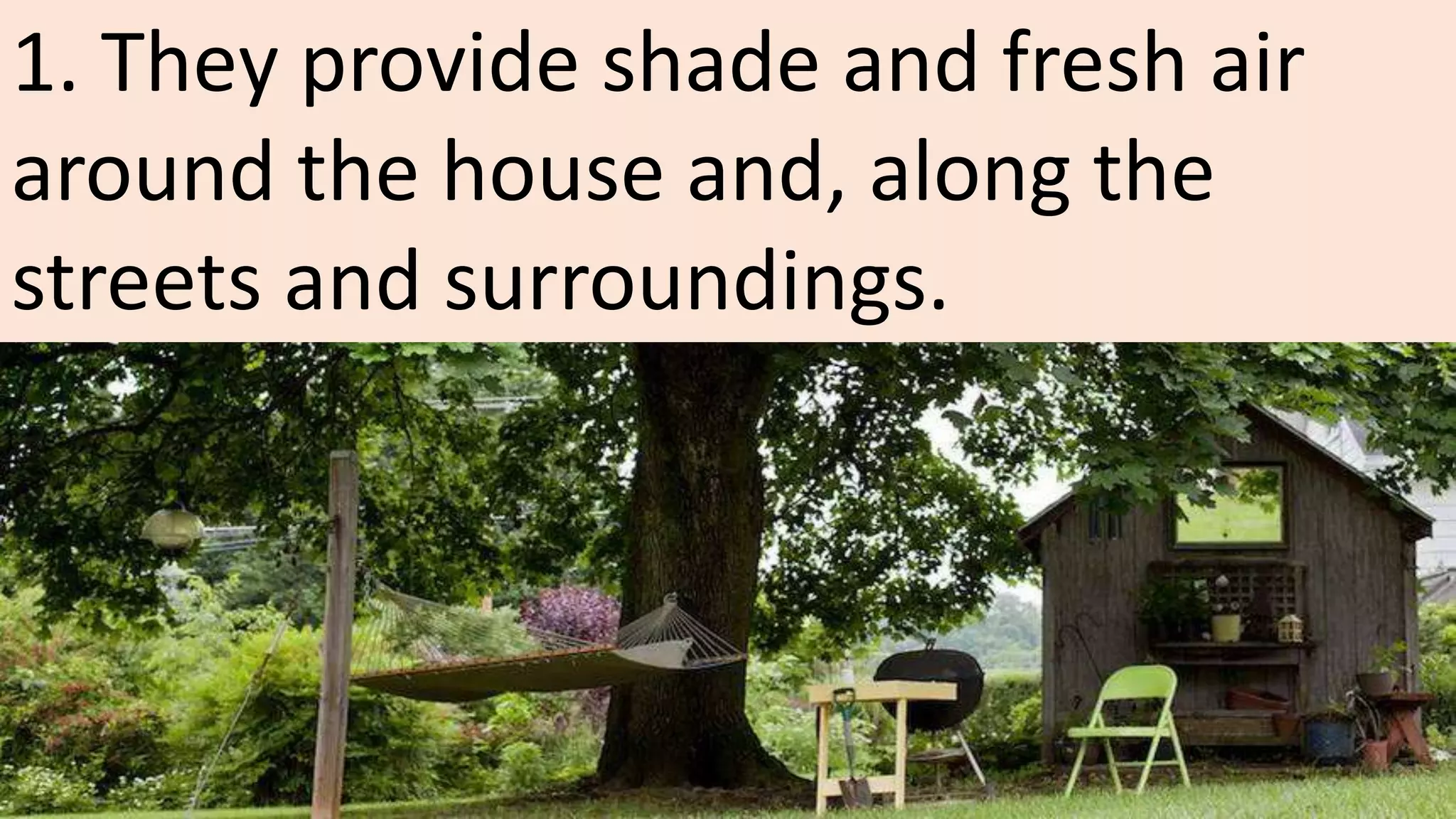 Successful Orchard Growers (1).pptx