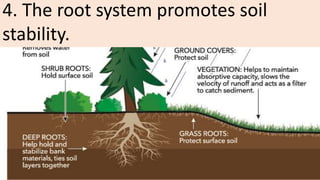 Successful Orchard Growers (1).pptx