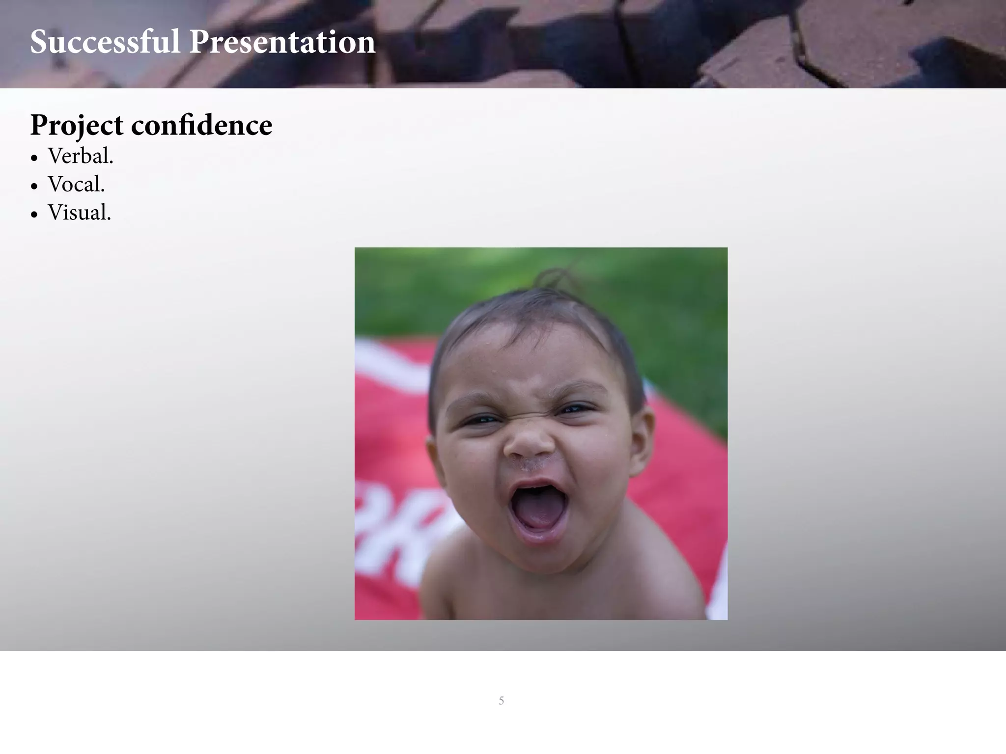 Successful Presentation | PDF