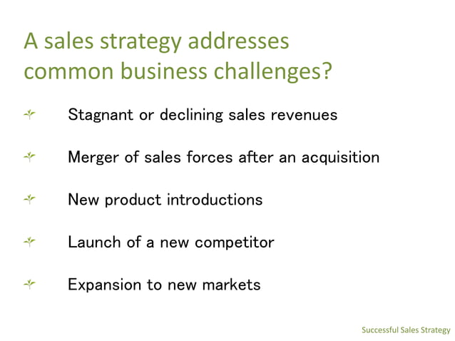 Successful sales strategy | PPTX