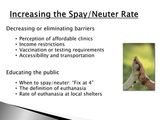 Successful spay neuter programs mansfield1 | PDF | Veterinary Medicine ...