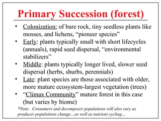 Succession | PPT | Geology | Science