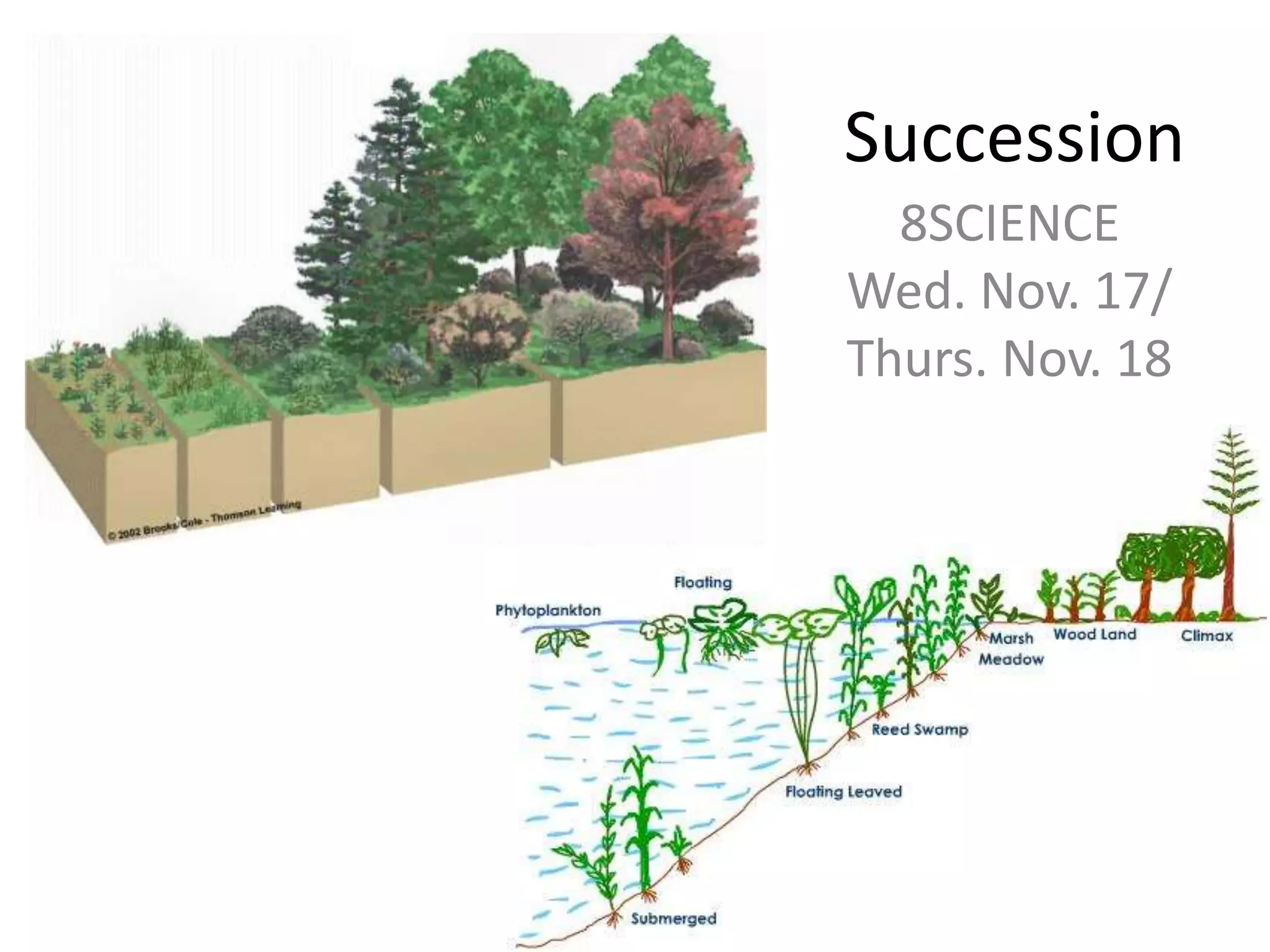 Succession | PPT