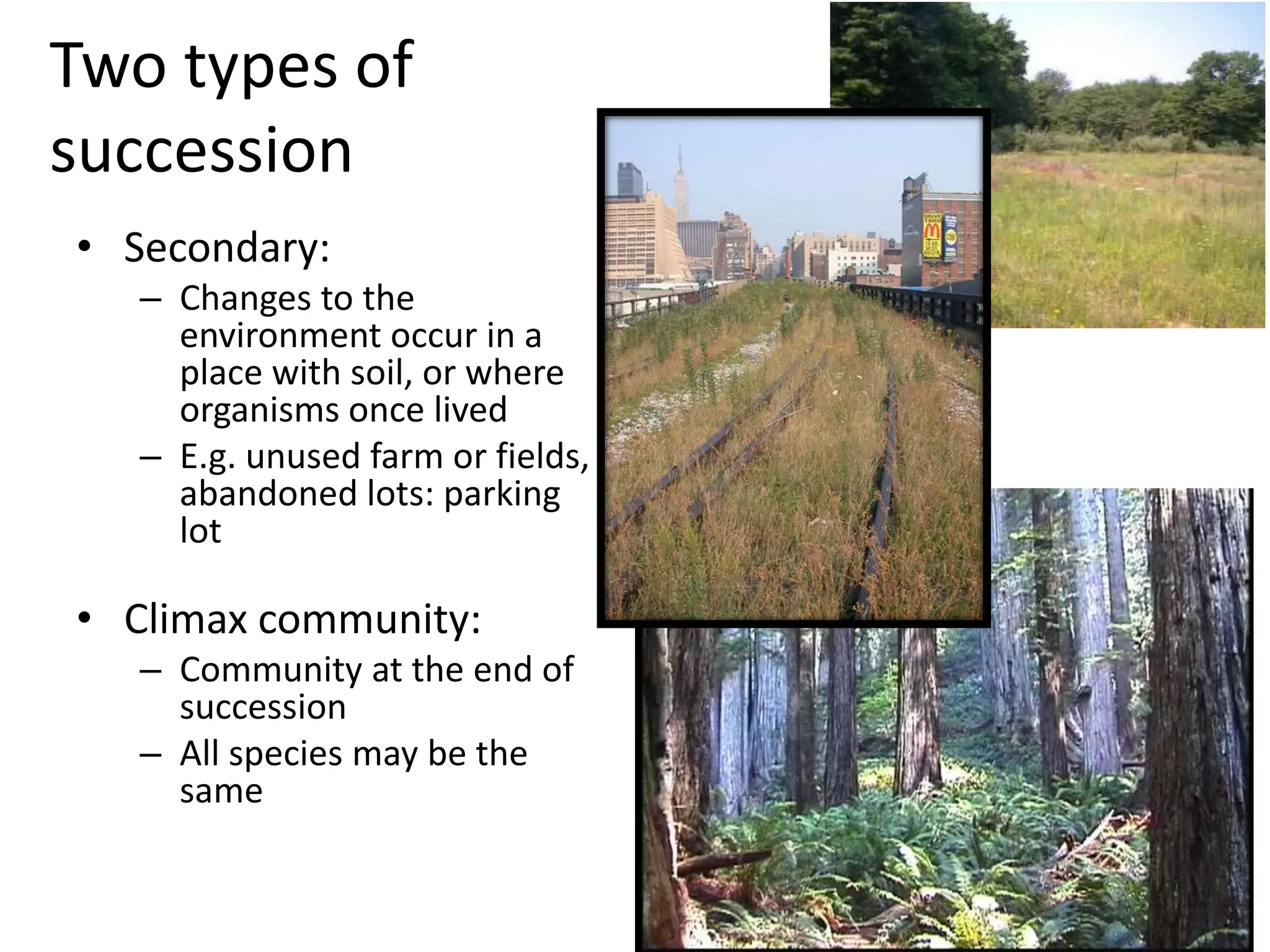 Succession | PPT