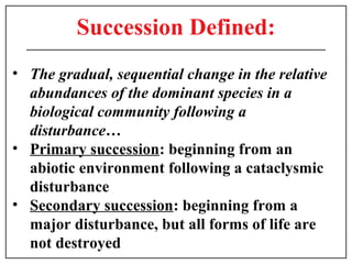 Succession Slides 2012 | PPT