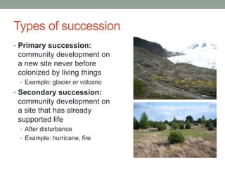 Succession | PPTX