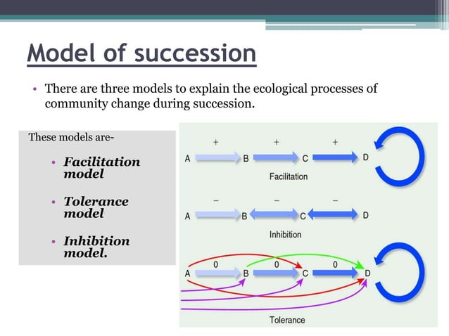Succession | PPTX | Biological Sciences | Science