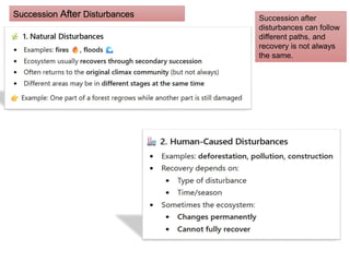 Understanding Ecological Succession: Primary vs Secondary Processes and ...