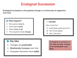 Understanding Ecological Succession: Primary vs Secondary Processes and ...
