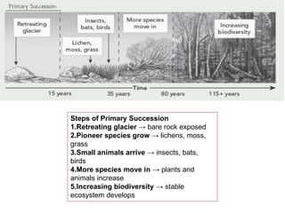 Understanding Ecological Succession: Primary vs Secondary Processes and ...