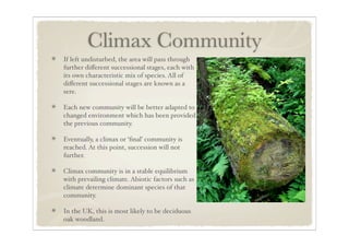 Succession Definitions | PDF | Gardening | Home & Garden