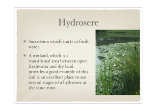 Succession Definitions | PDF | Gardening | Home & Garden