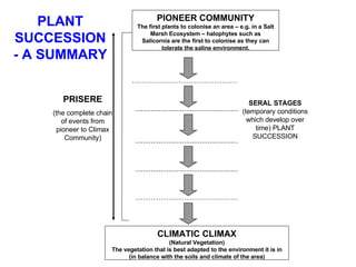 Succession Lesson1 | PPT