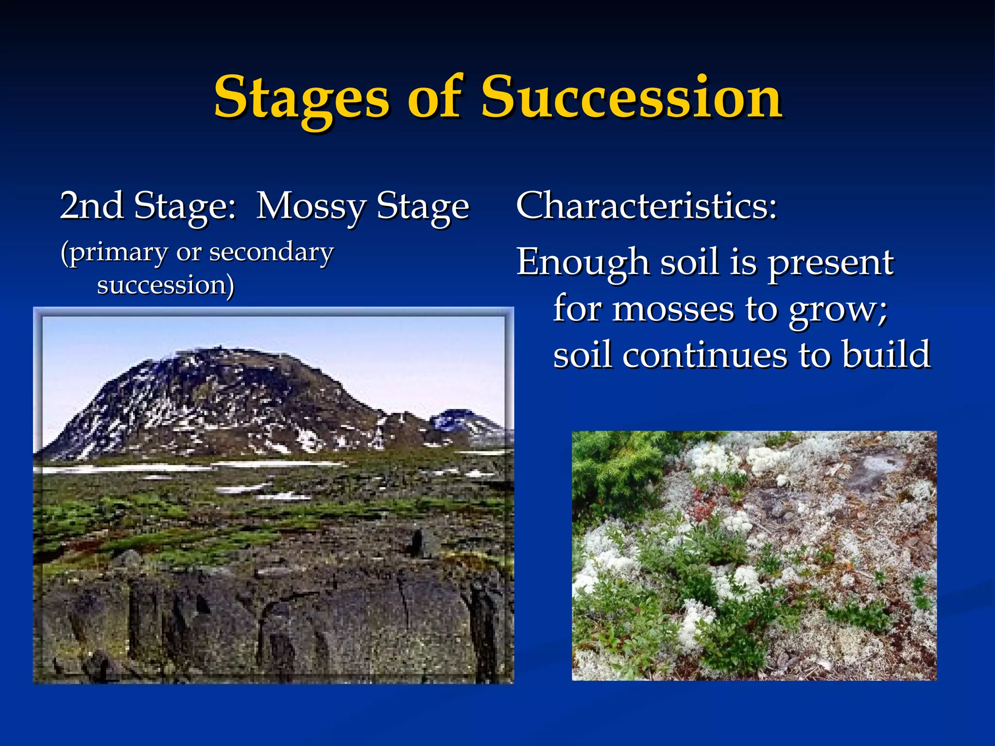 Succession Class Notes | PPT