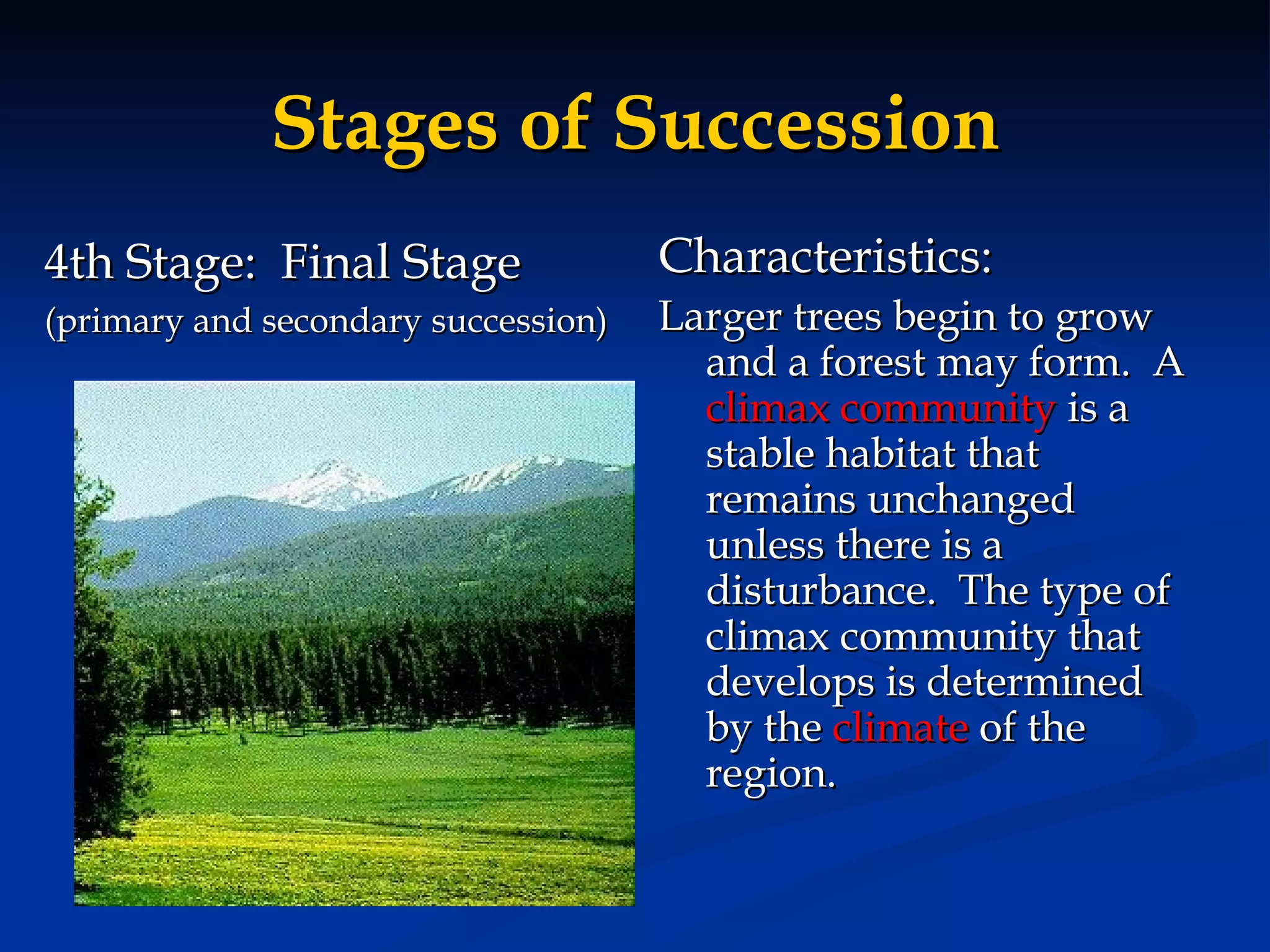 Succession Class Notes | PPT