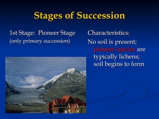 Succession Class Notes | PPT