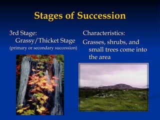 Succession Class Notes | PPT