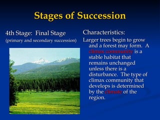 Succession Class Notes | PPT