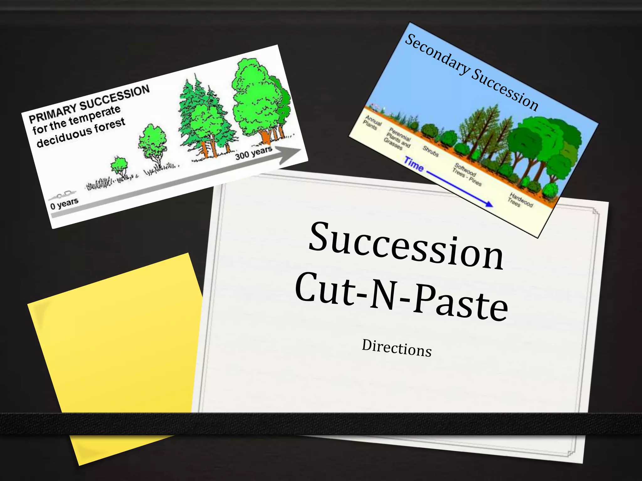 Succession cut n paste directions | PPTX