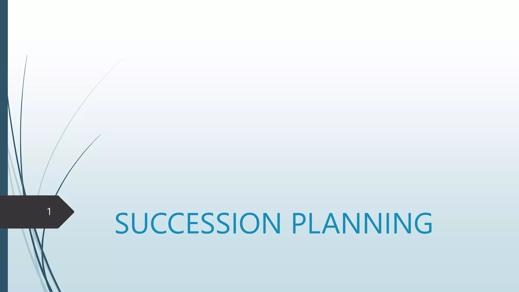 Succession Plan Presentation.pptx