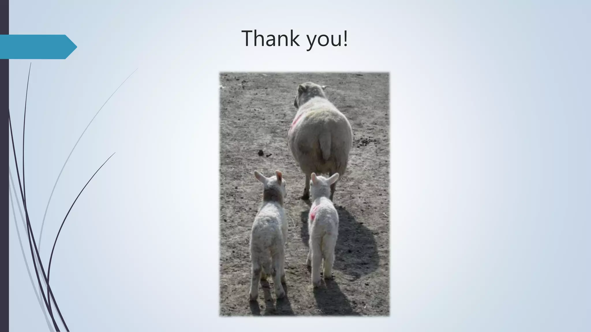 Success of Chronogest Sponges in Ewes to Manipulate Breeding | PPTX