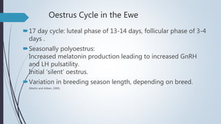 Success of Chronogest Sponges in Ewes to Manipulate Breeding | PPTX