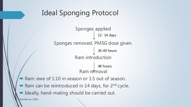 Success of Chronogest Sponges in Ewes to Manipulate Breeding