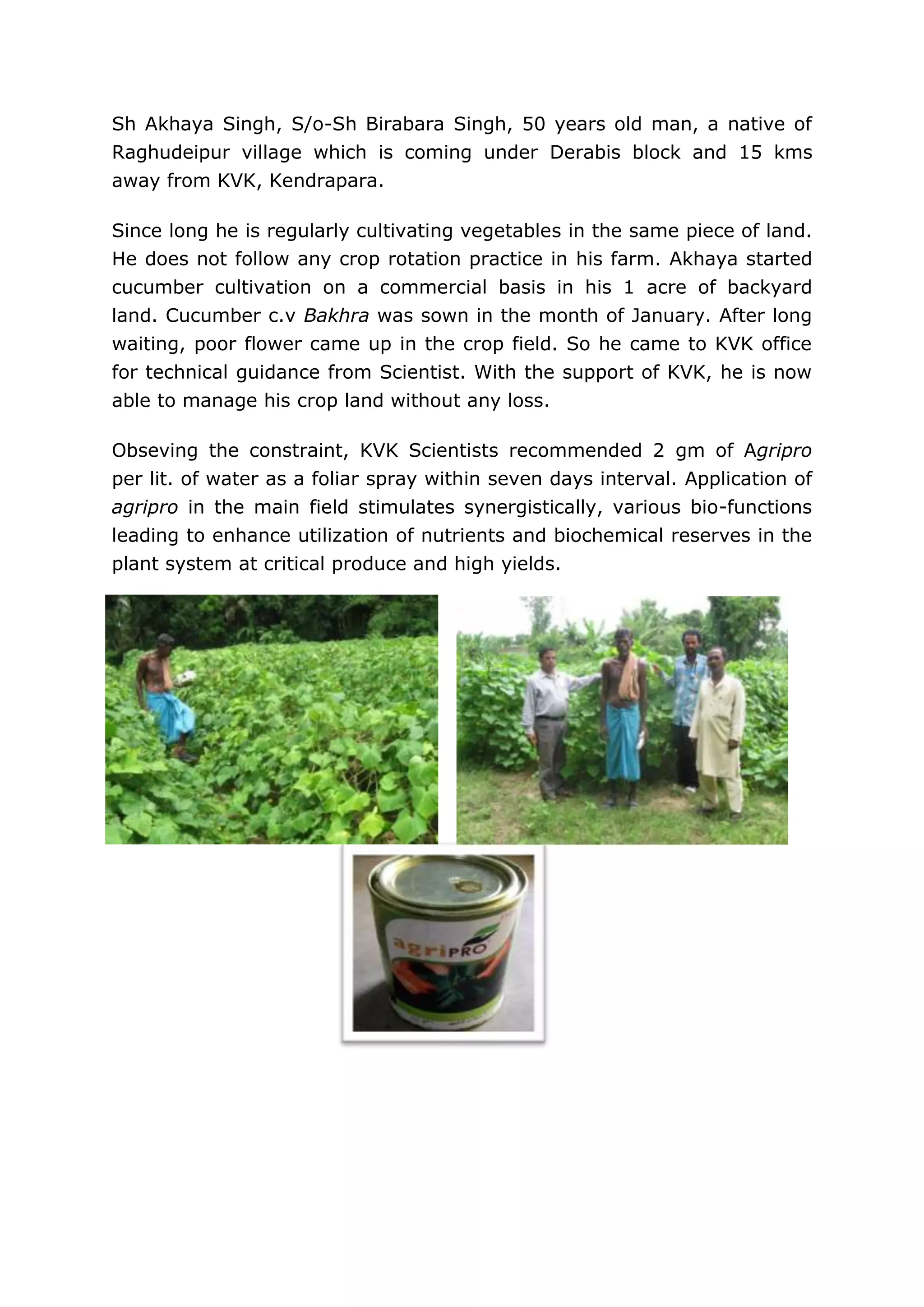 Success stories | PDF