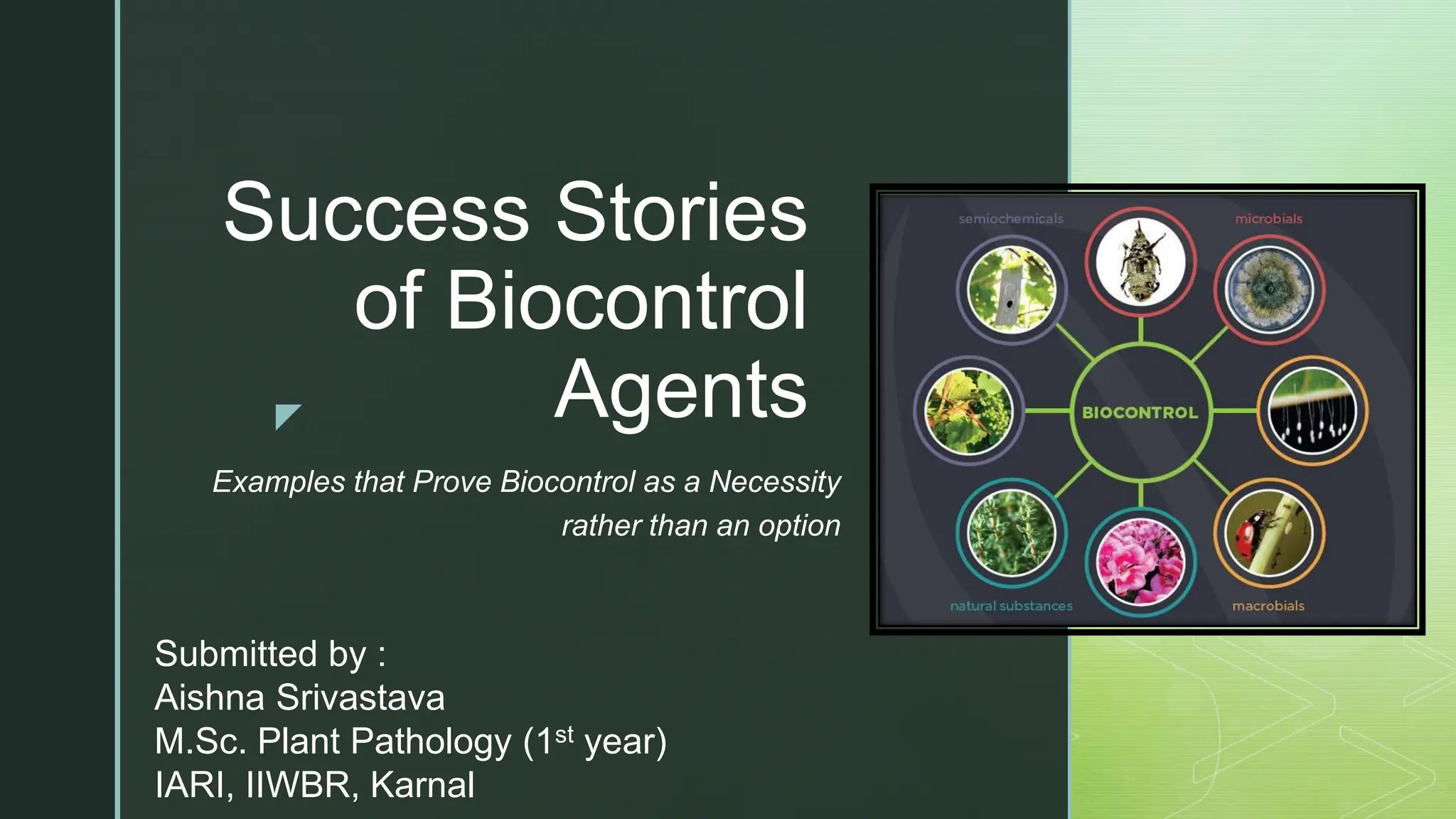 Success Stories of Biocontrol Agents final..pptx | Agriculture | Industries