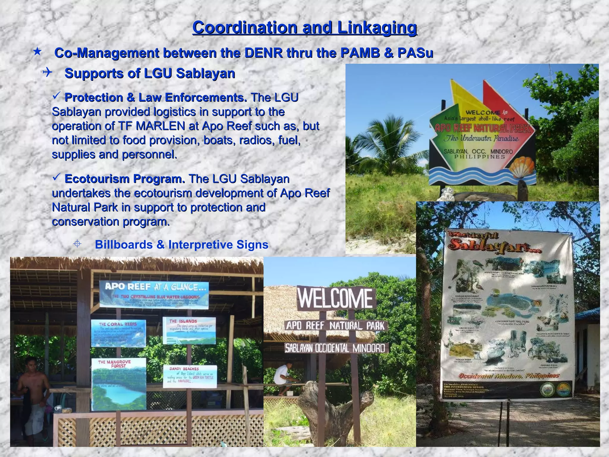 Apo Reef Success Story | PPT