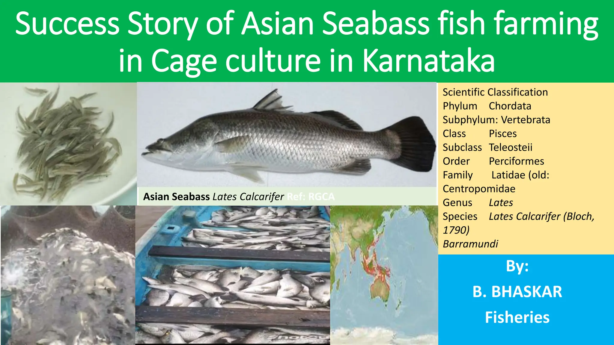 Success Story of Karnataka Seabass fish farmer in Cage culture by B.pptx