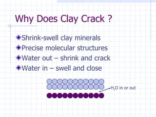 Plain Talk About Clay Soils | PPT
