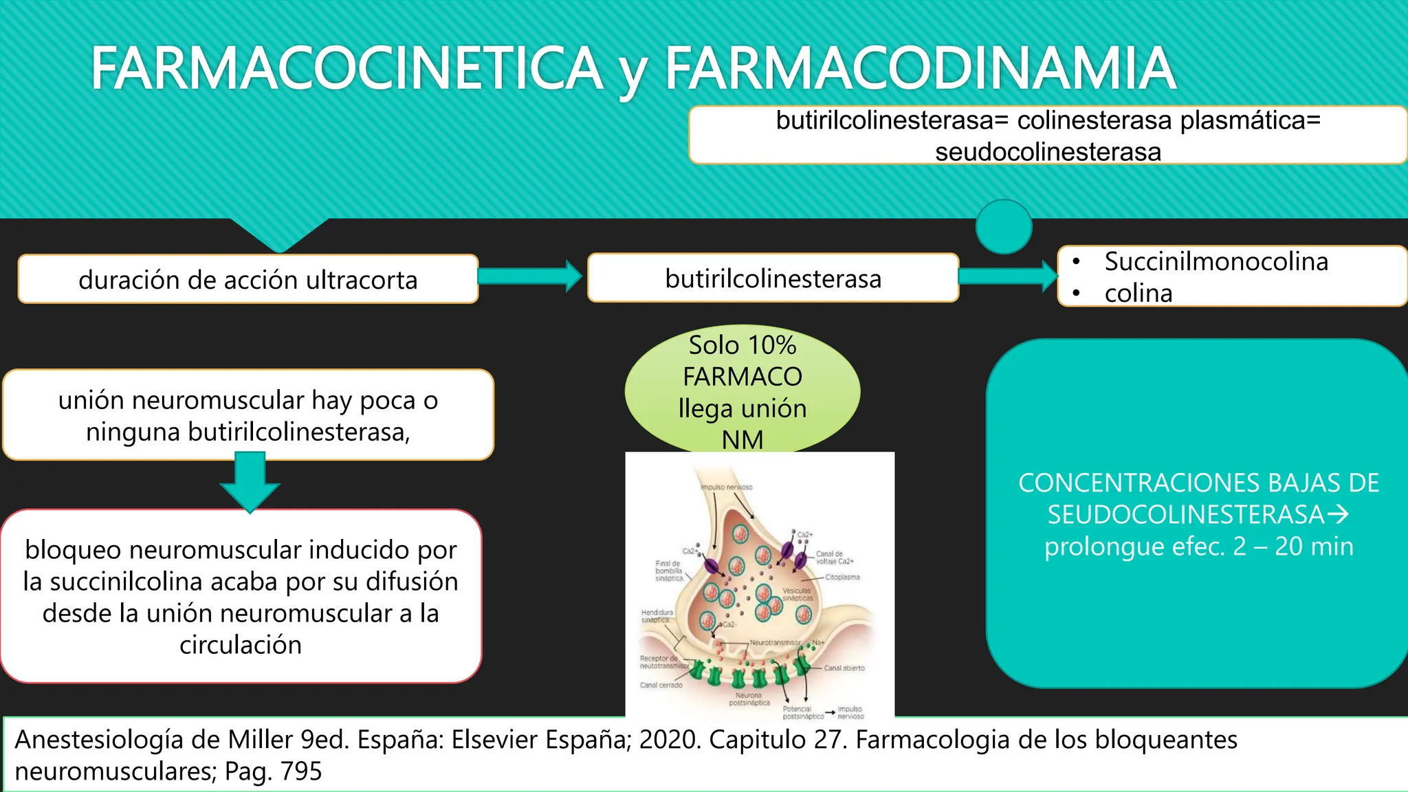 farmacologia de anestesio SUCCINILCOLINA.pptx