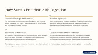 Comprehensive Overview of Succus Entericus: Composition, Function, and ...