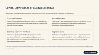 Comprehensive Overview of Succus Entericus: Composition, Function, and ...