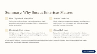 Comprehensive Overview of Succus Entericus: Composition, Function, and ...