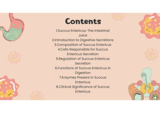 Comprehensive Overview of Succus Entericus: Composition, Function, and ...