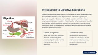 Comprehensive Overview of Succus Entericus: Composition, Function, and ...