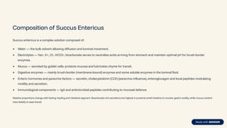 Comprehensive Overview of Succus Entericus: Composition, Function, and ...